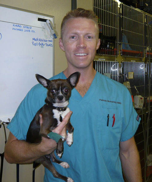 >Help Send Dr Patrick Mahaney to Peru with Amazon Cares – Dawg Business ...